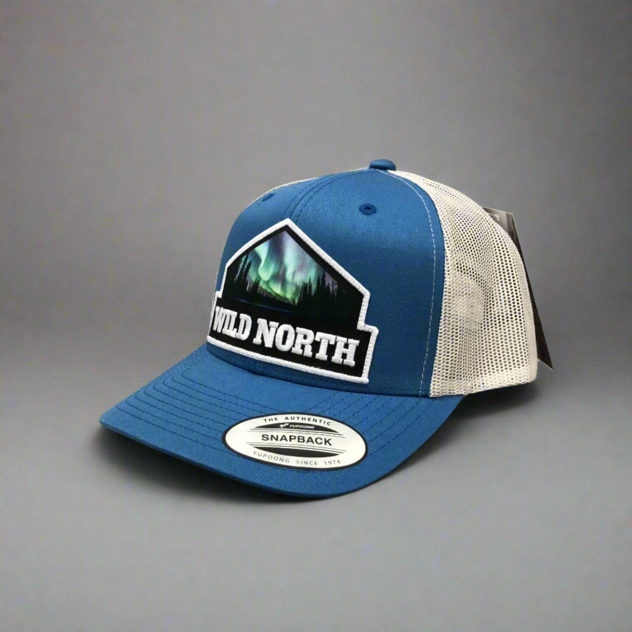 Northern Lights Patch Snapback Trucker Cap
